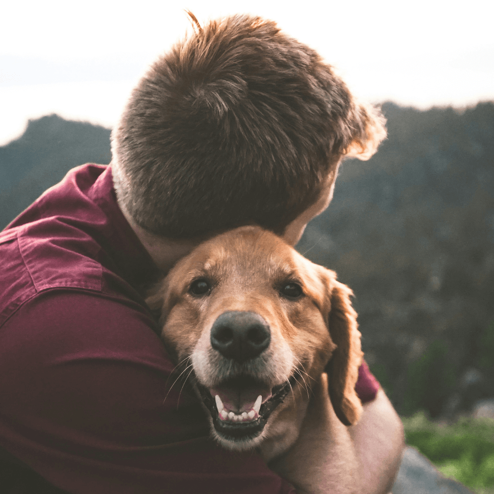 10 heartwarming ways to celebrate National Dog Day with your pup – CliniPaw