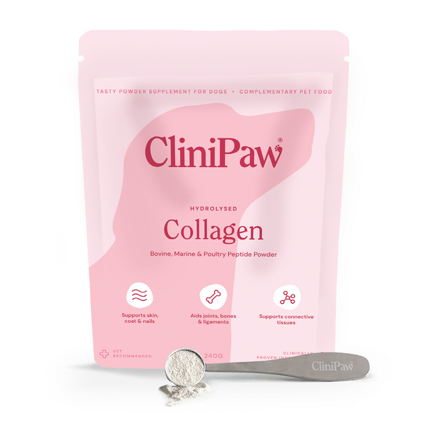 Collagen for dogs: benefits, supplements & feeding guide – CliniPaw